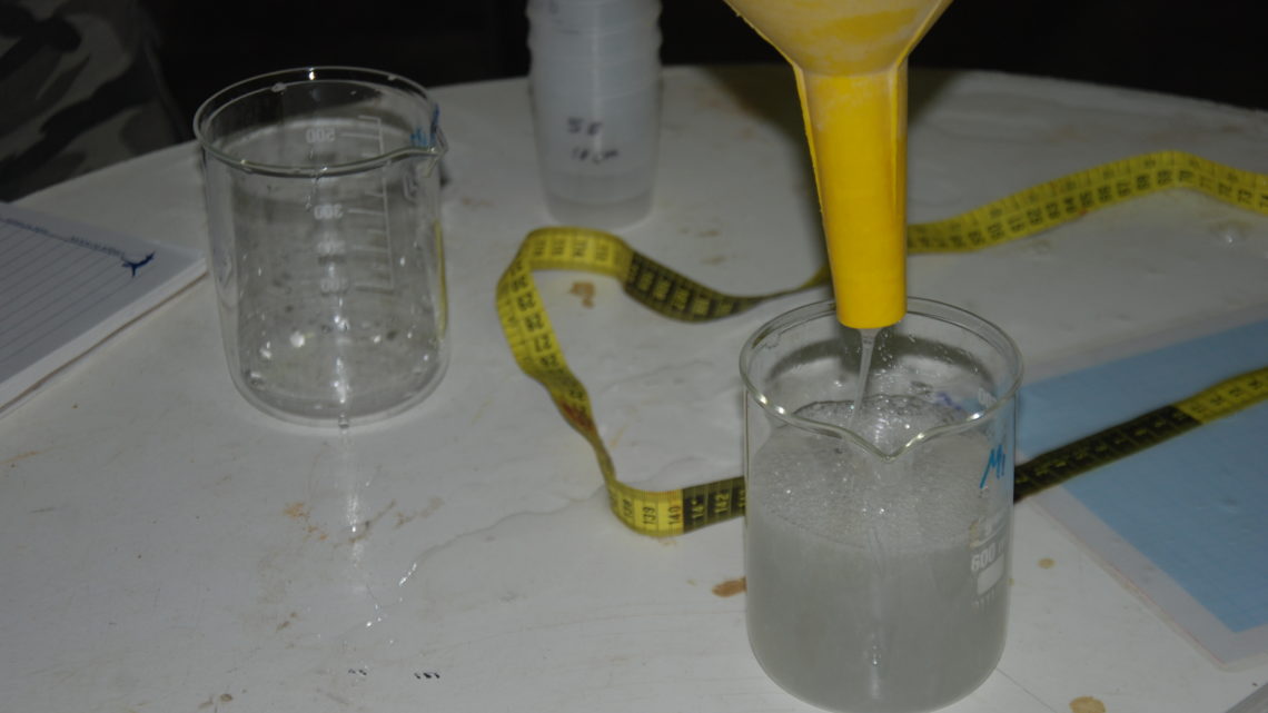 Scientists Try Using Mucus from Jellyfish to Clean the Seas (with VIDEO ...