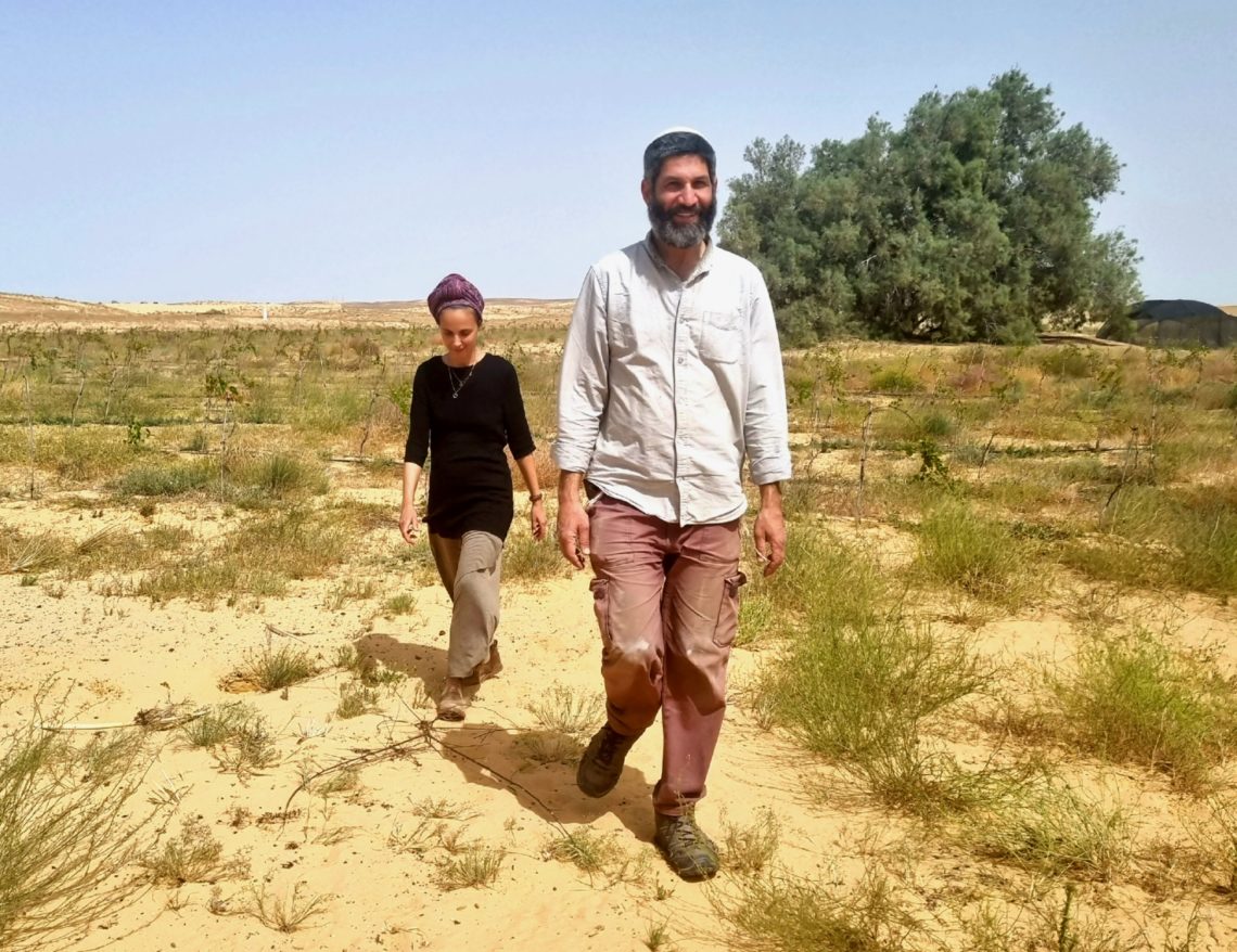 Go Down, Moses: Israelis Recall Life in Sinai 40 Years On - The Media Line