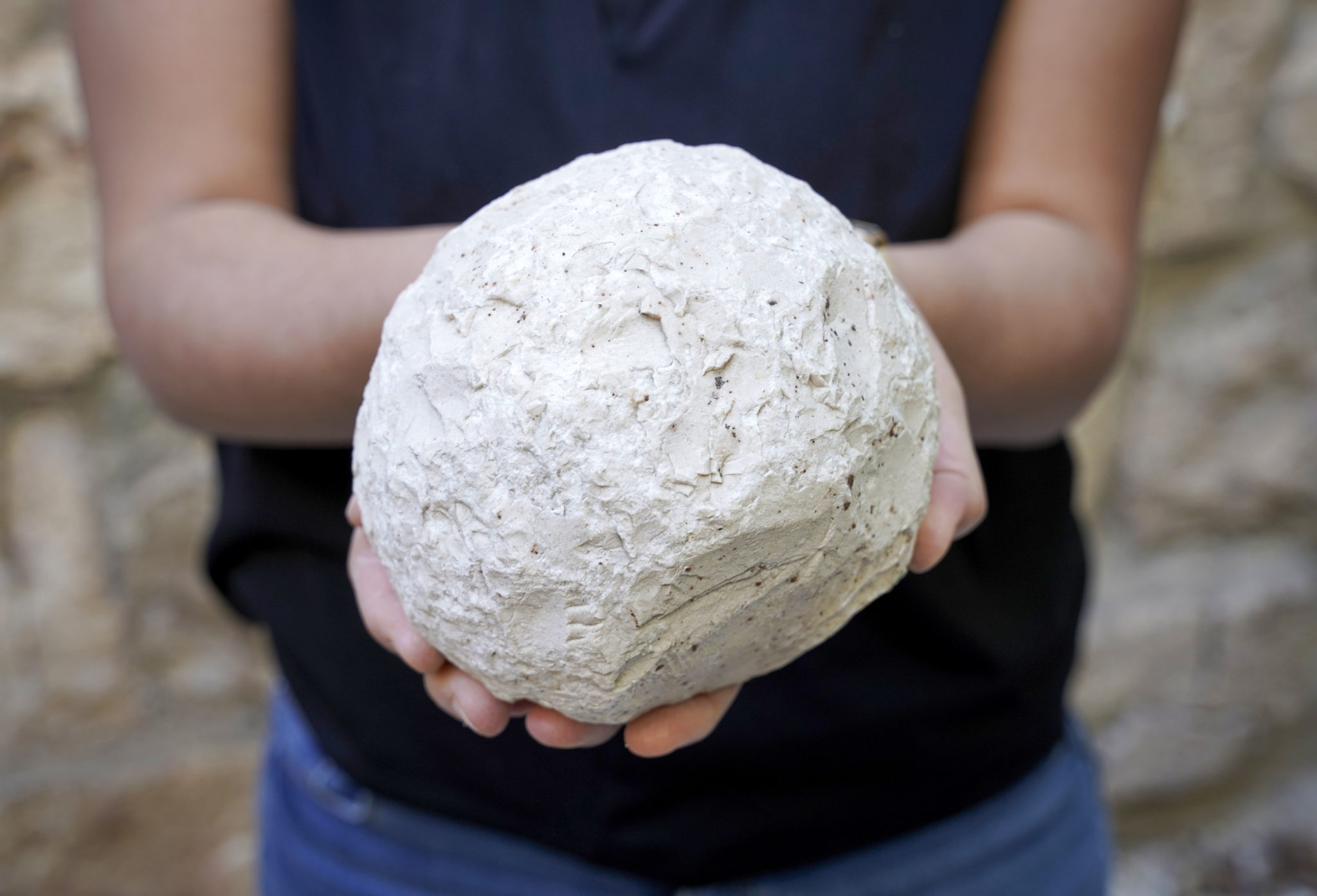 Rare Artifacts From Hanukkah Story Found in Old Storage Box at ...