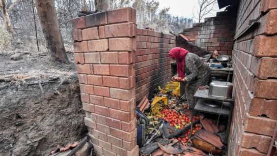 Extreme Heatwave Sparks Deadly Wildfires Across Mediterranean Region ...