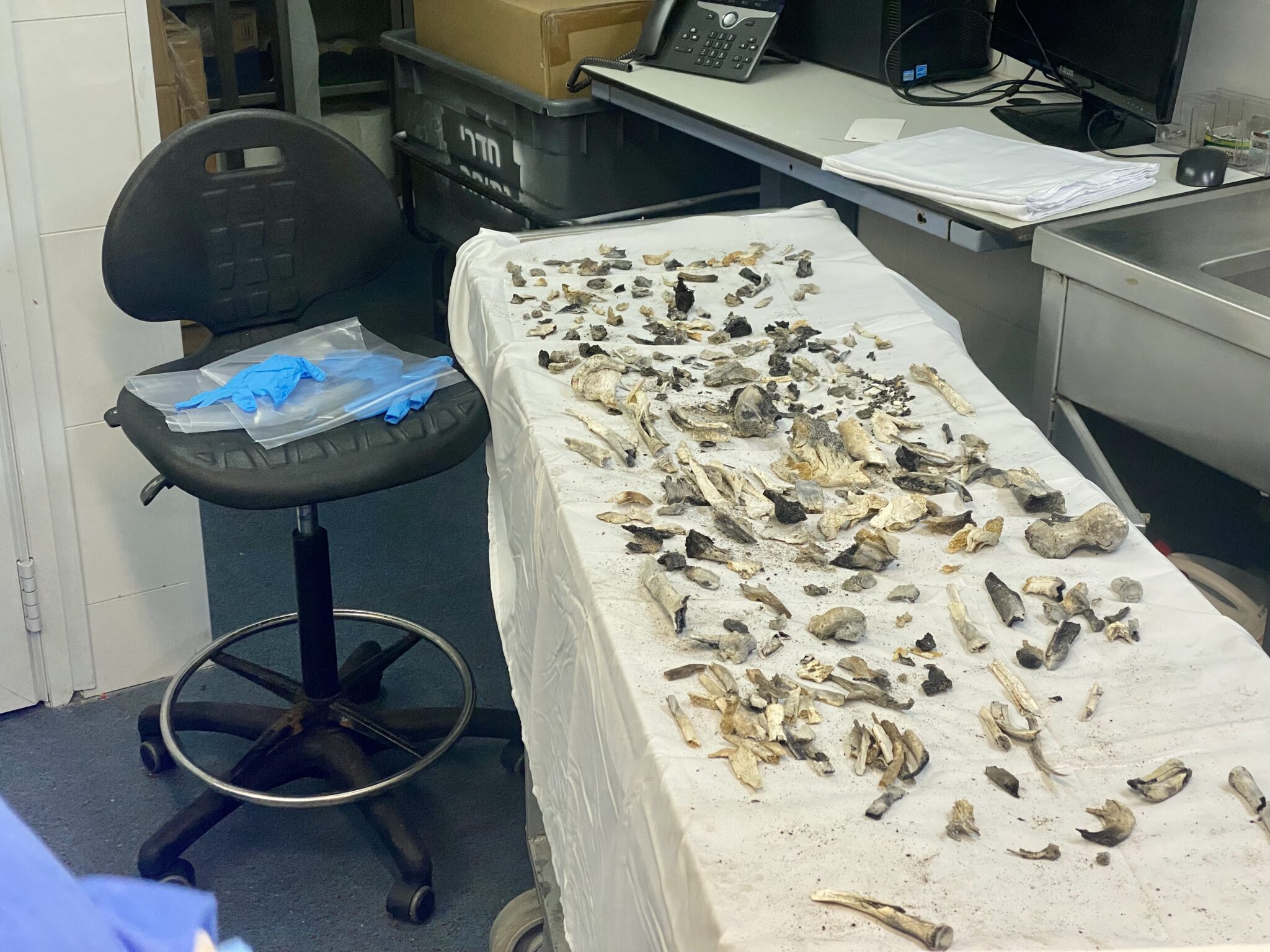 This is an alleged photo of what happened to israeli citizens during ...