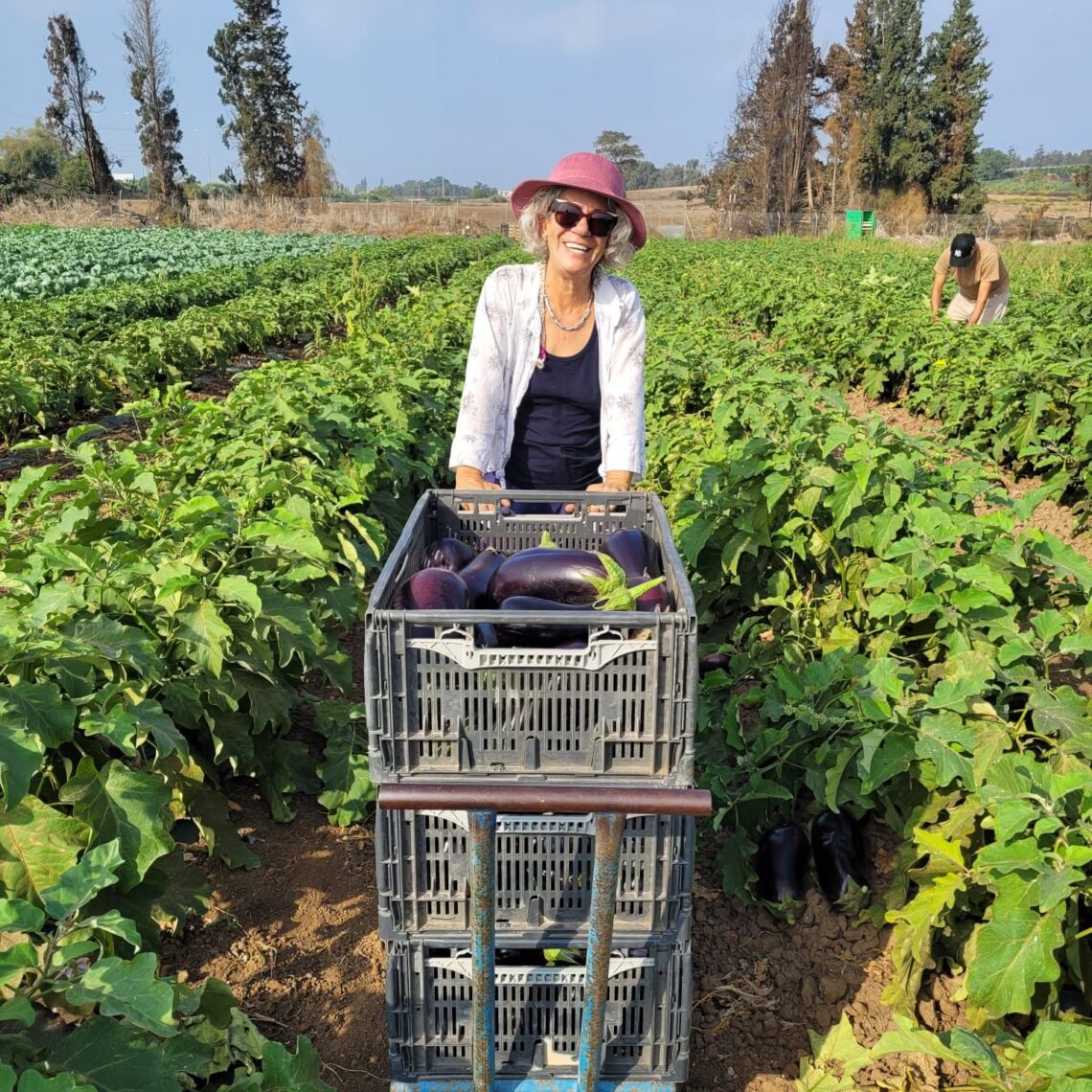 Fields of Conflict: Navigating Israel’s Wartime Agricultural Challenges ...