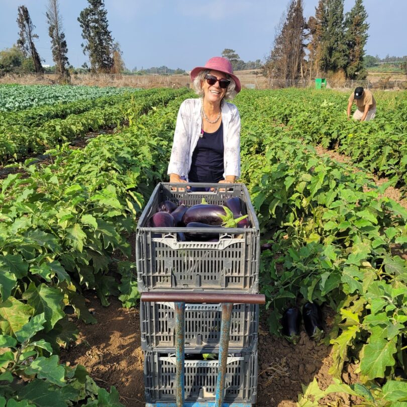 Fields of Conflict: Navigating Israel’s Wartime Agricultural Challenges ...