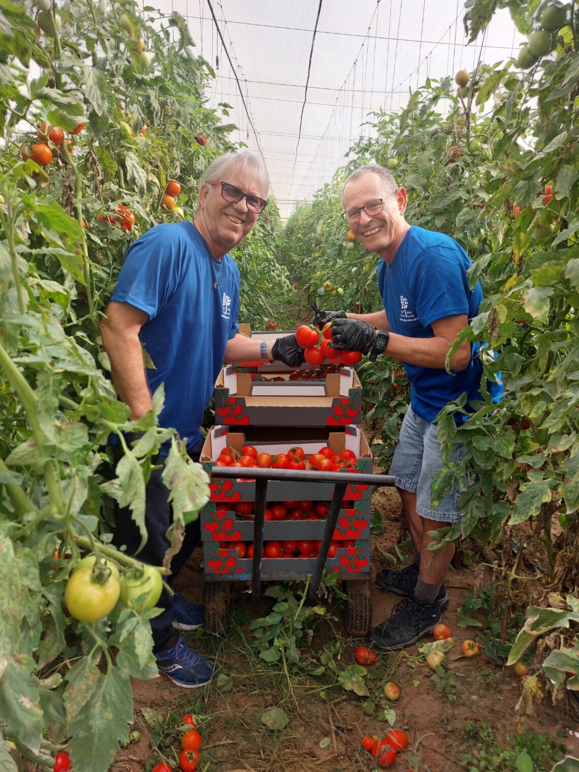Fields of Conflict: Navigating Israel’s Wartime Agricultural Challenges ...