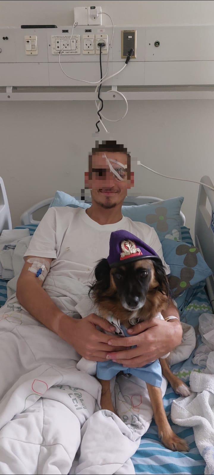 Can a Wagging Tail Speed Recovery? Inside Rabin Medical Center’s ‘Dog ...